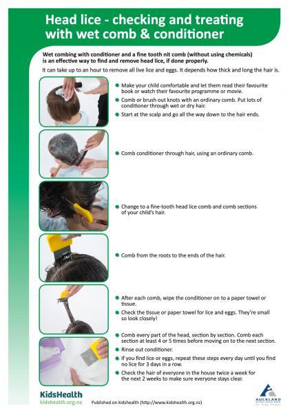 How To Get Rid Of Head Lice KidsHealth New Zealand s Trusted Voice On Children s Health